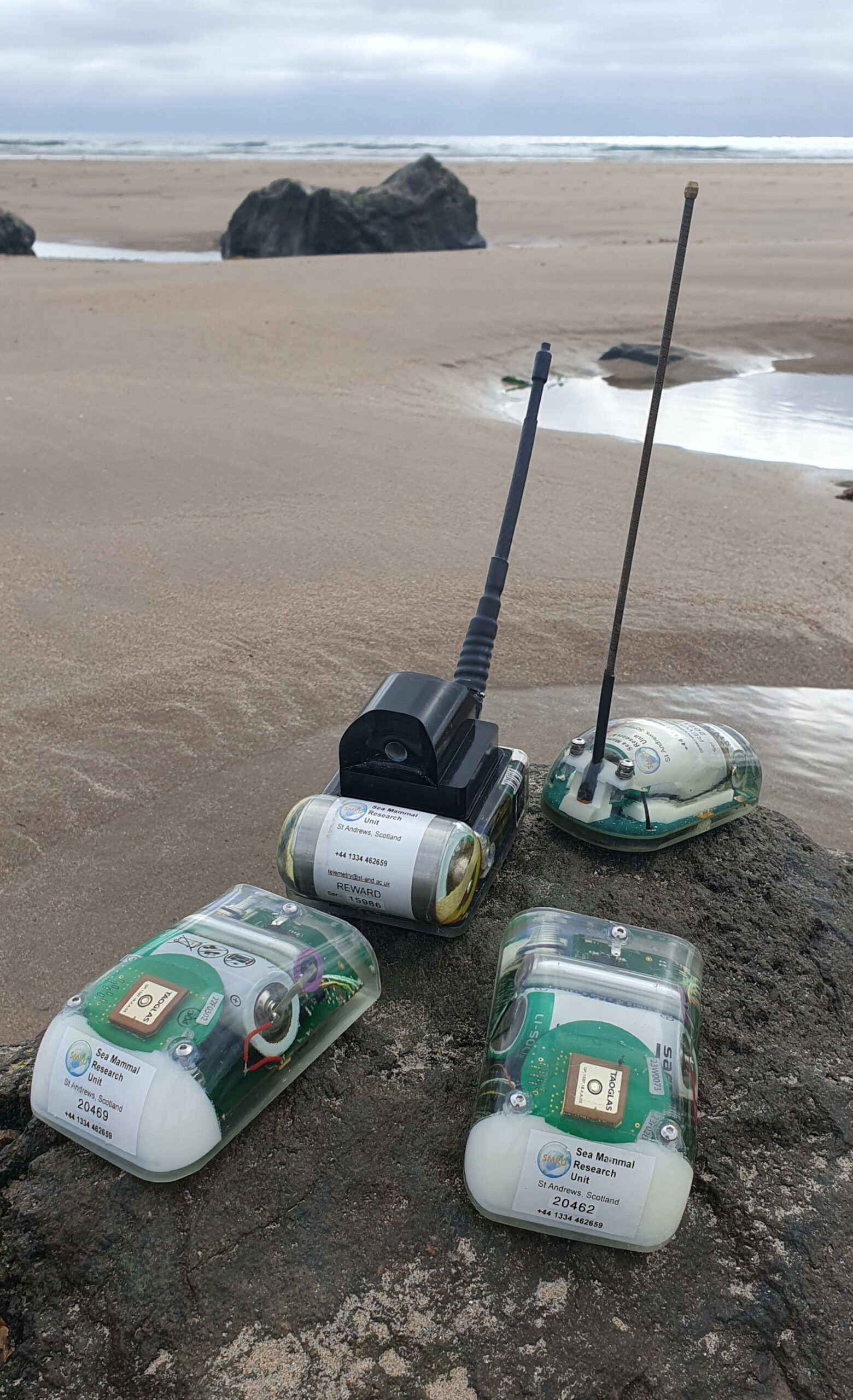 Bespoke Bio-logging – SMRU Instrumentation